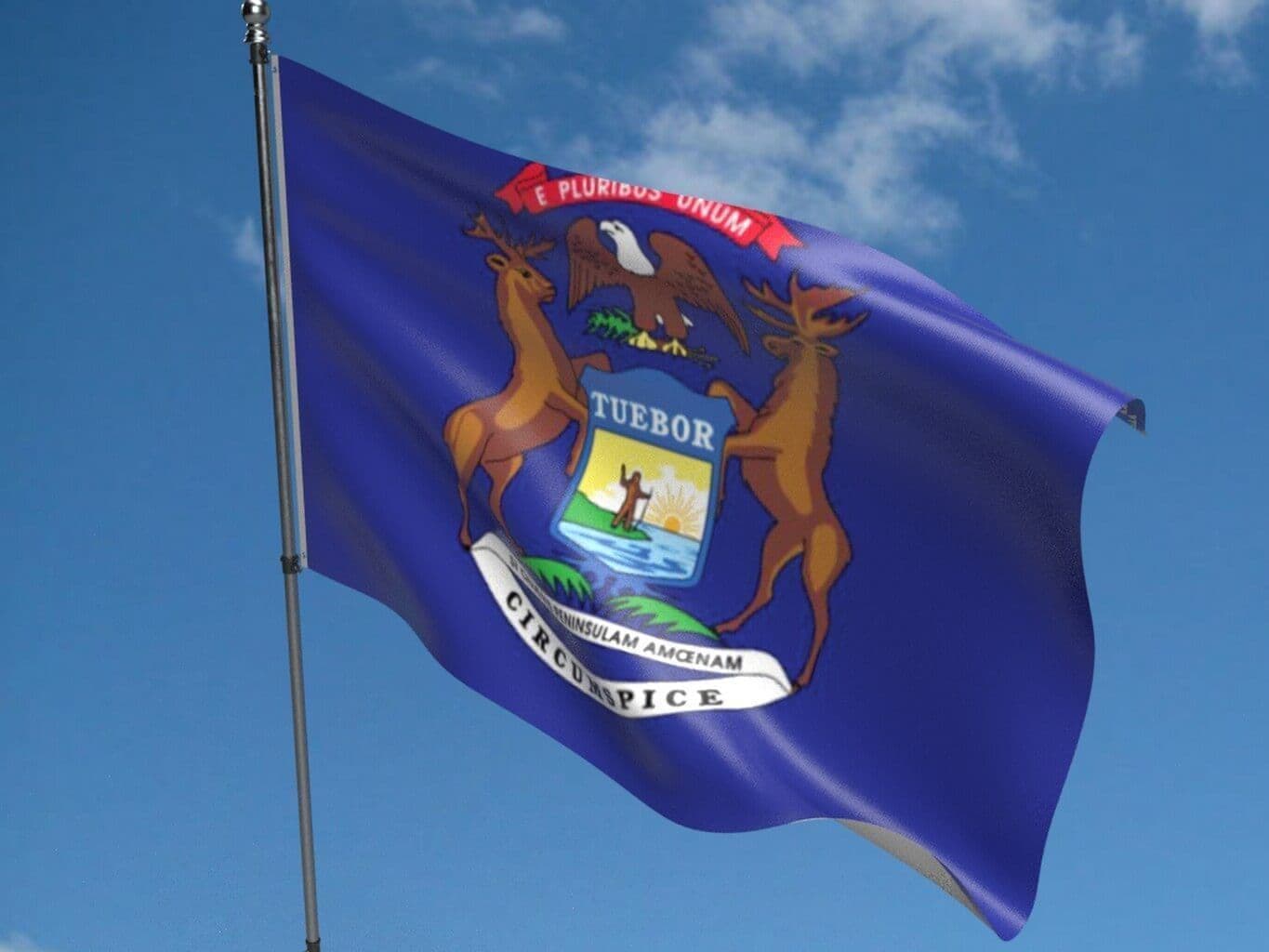 Michigan State Flag | Buy Michigan State Flag | NWFlags