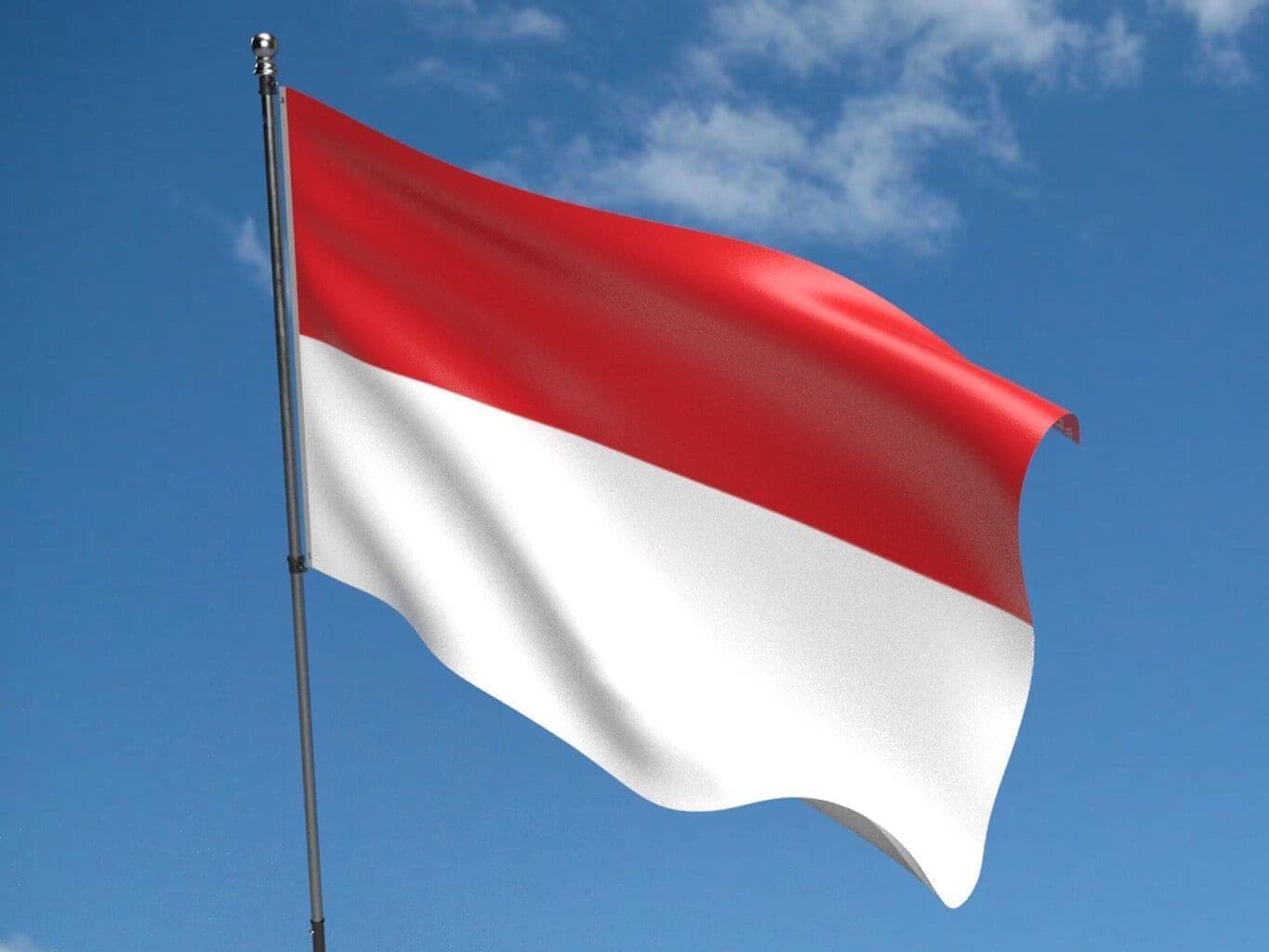 Monaco Value Flag | Buy Monaco Value Flag | North West Flags