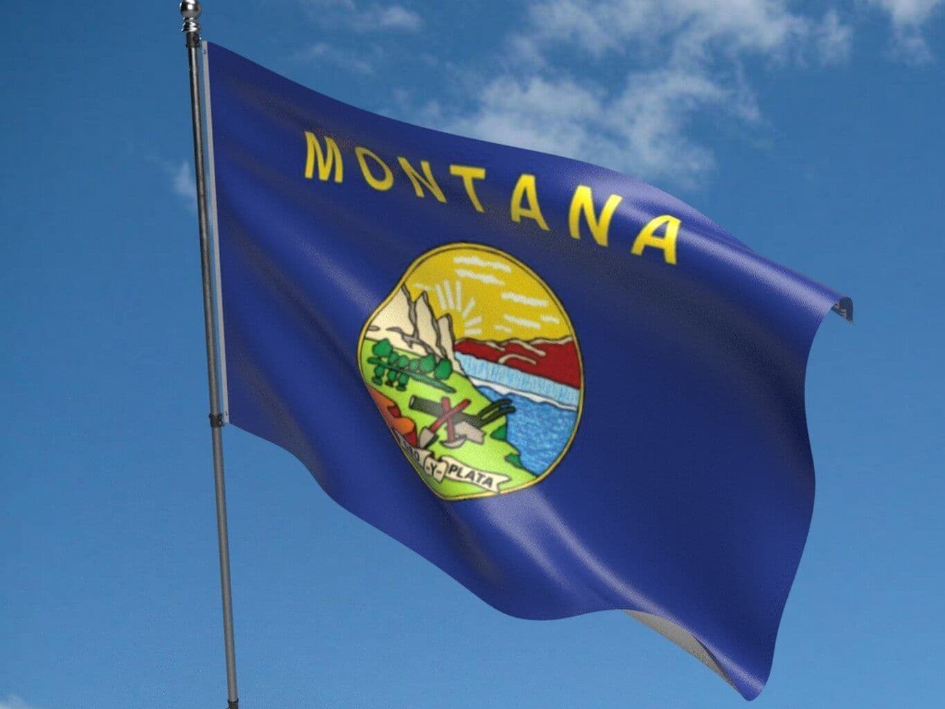 Montana State Flag | Buy Montana State Flag | NWFlags