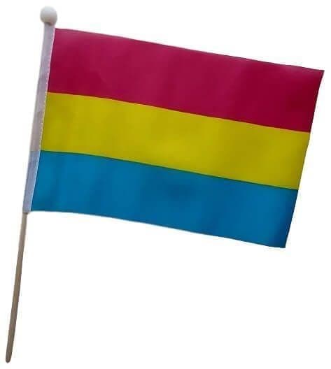 Pansexual Hand Flag | Buy Pansexual Hand Flag | NWFlags