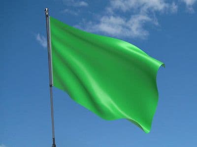Buy Plain Green Flag & Bunting | NWFlags | Free UK Delivery