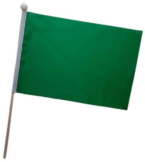 Plain Green Hand Flag | Buy Plain Green Hand Flag | NWFlags