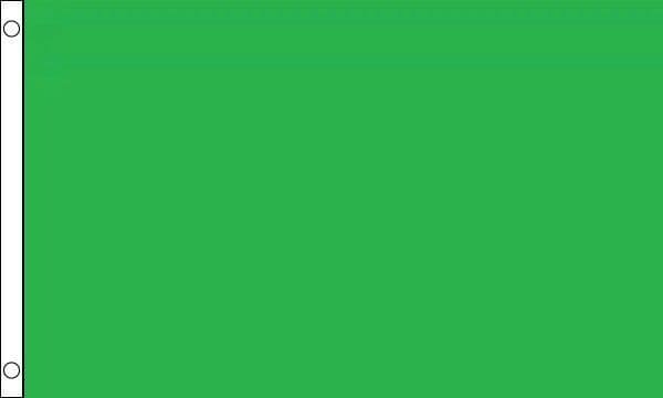 Plain Green Flag Small | Buy Plain Green Flag Small | NWFlags