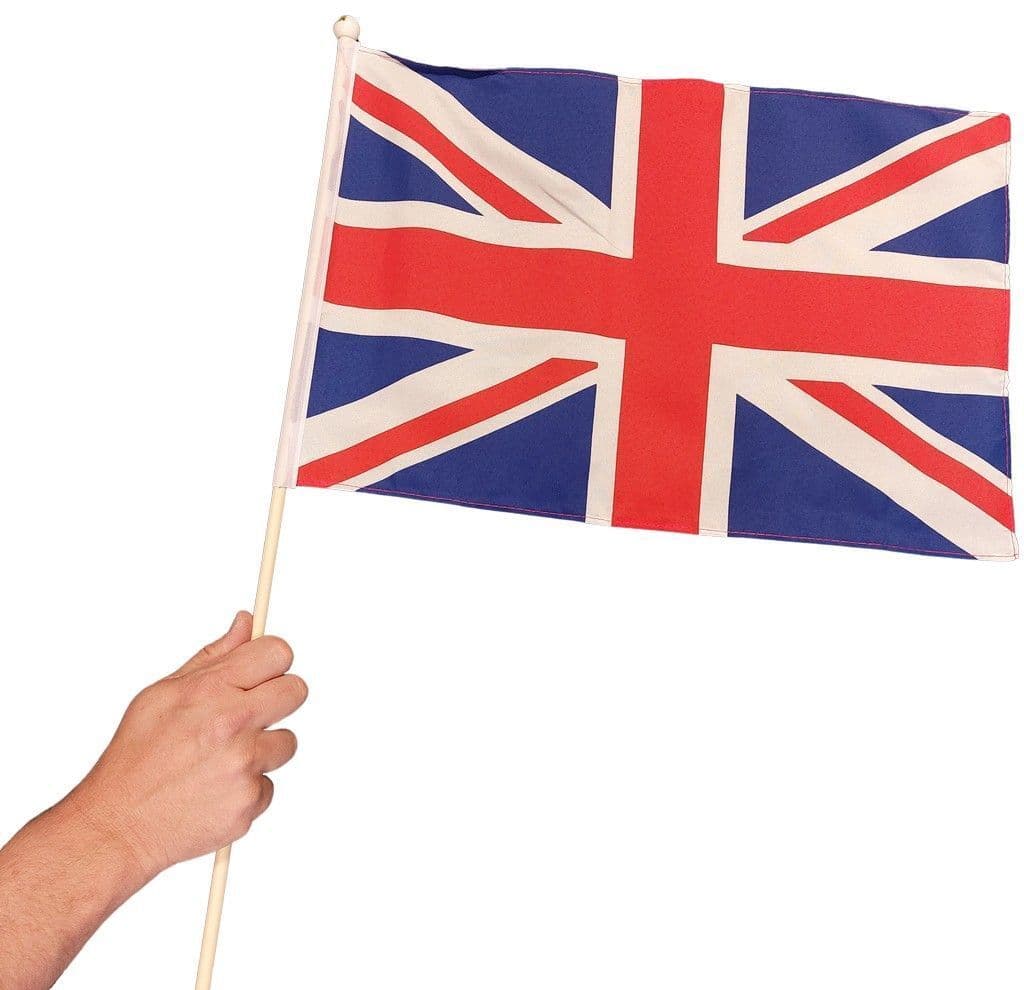 Plain White Large Hand Flag | Buy Plain White Large Hand Flag