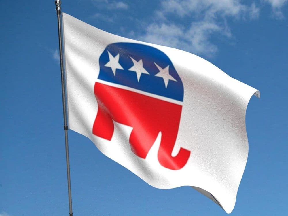 Republican Party USA Flag | Buy Republican Party USA Flag | NWFlags