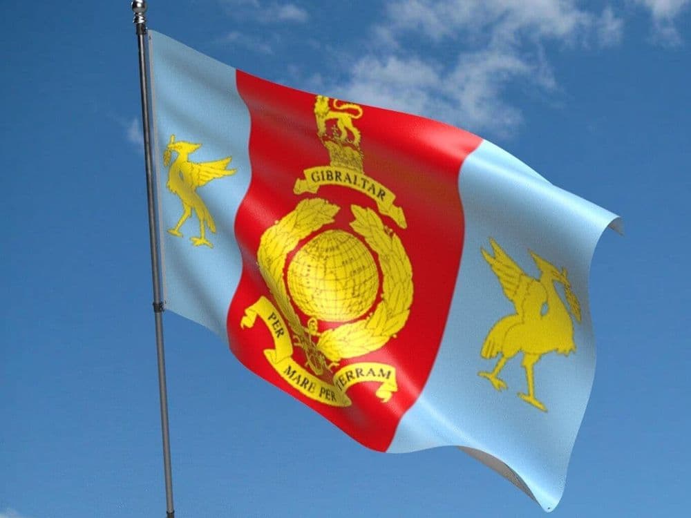 Buy Royal Marines Reserve Merseyside Flag | NWFlags