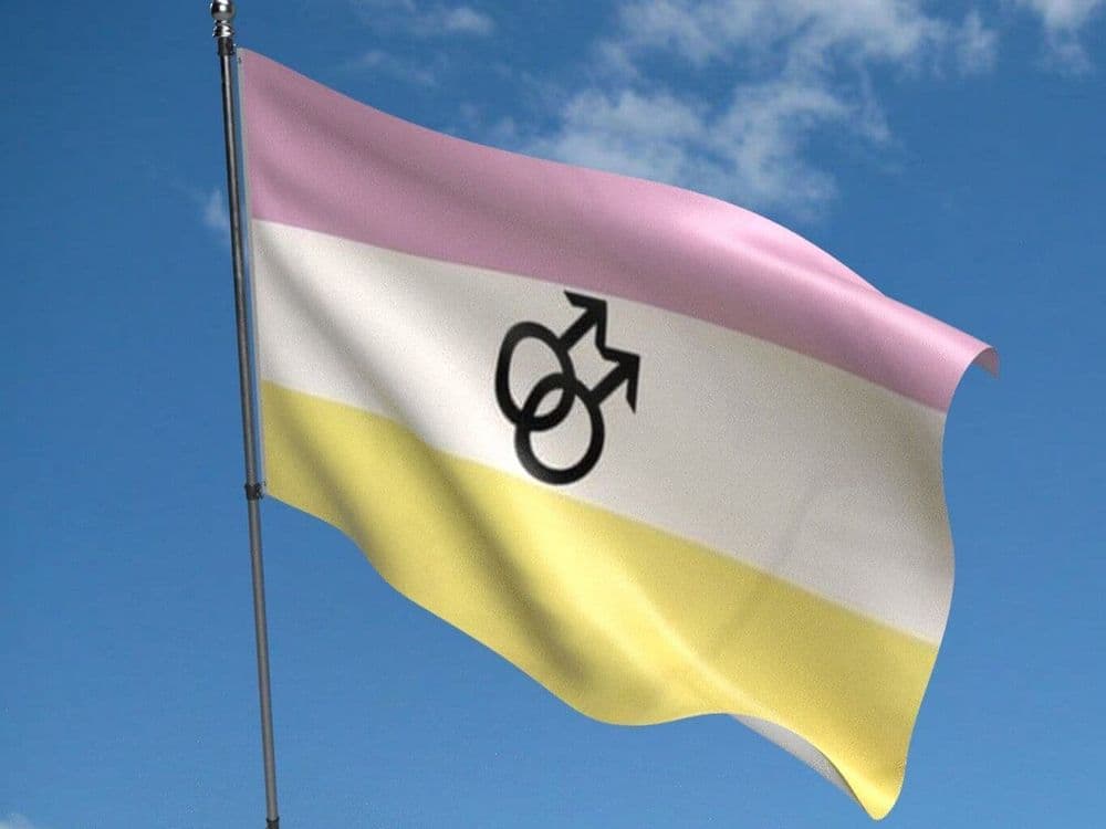 Twink Pride Flag | Buy Twink Pride Flag | North West Flags
