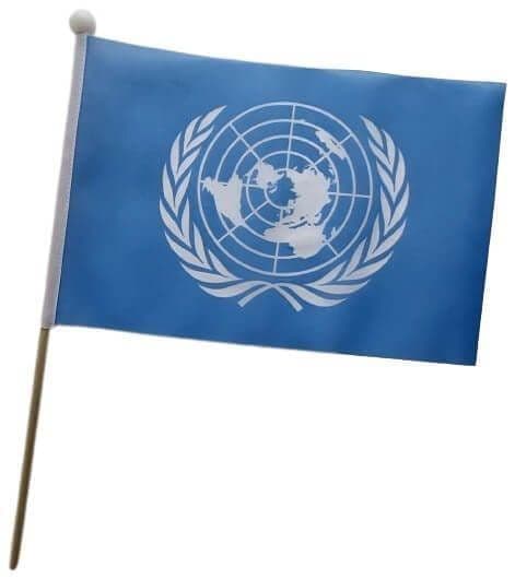 United Nations Hand Flag | Buy United Nations Hand Flag | NWFlags