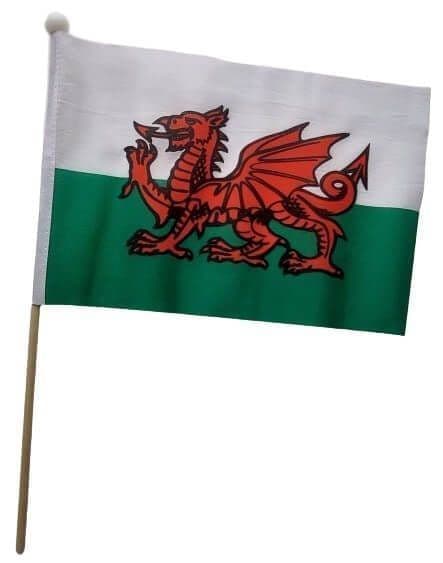 Wales Hand Flag | Buy Wales Hand Flag | North West Flags