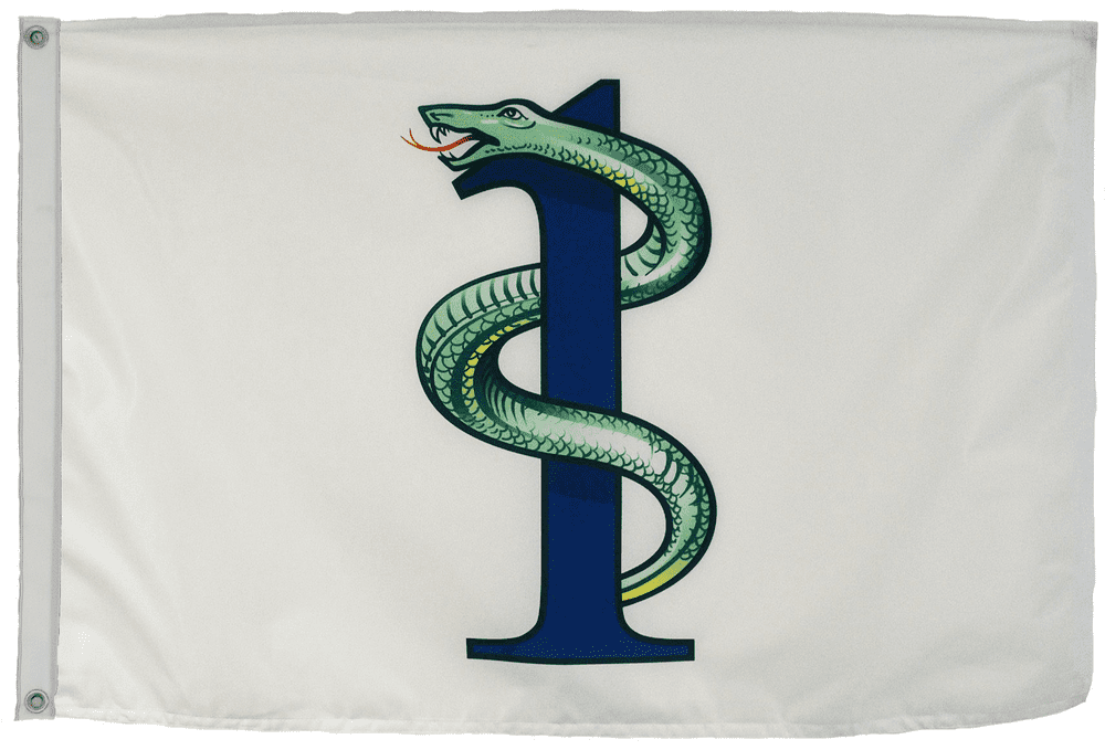 1 Medical Regiment British Army Flag with Eyelets
