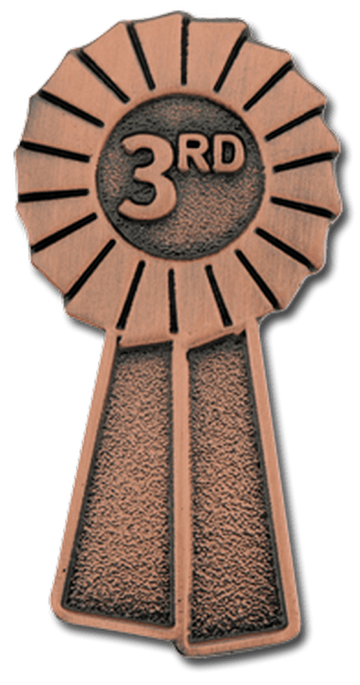 3rd Place Bronze Rosette Pin Badge
