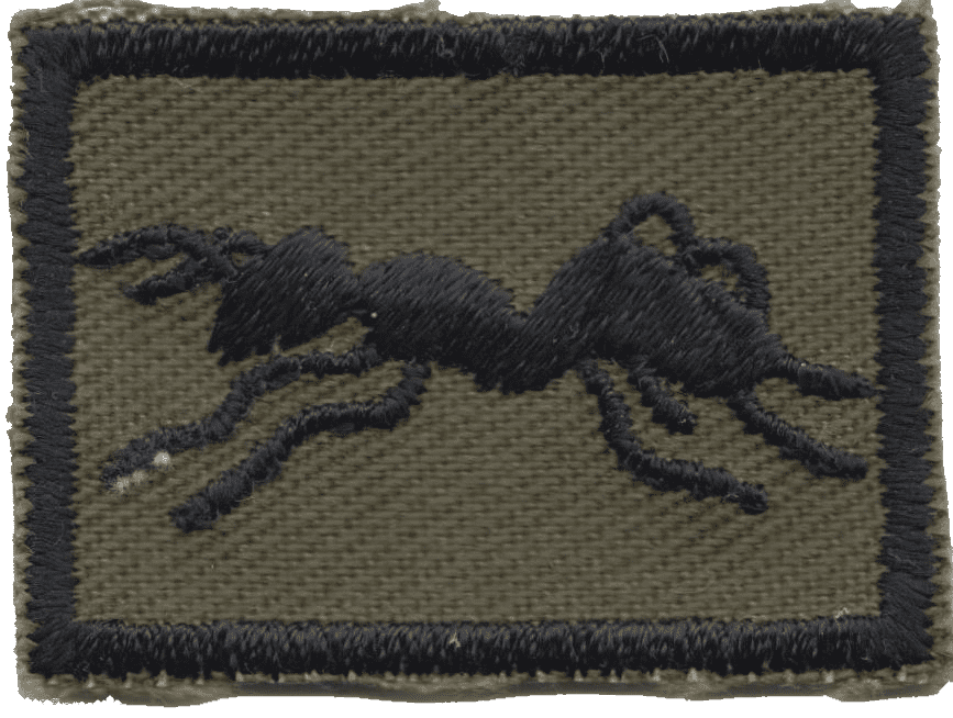 51 Field Squadron Airfields Royal Engineers TRF Tiny Embroidered Patch