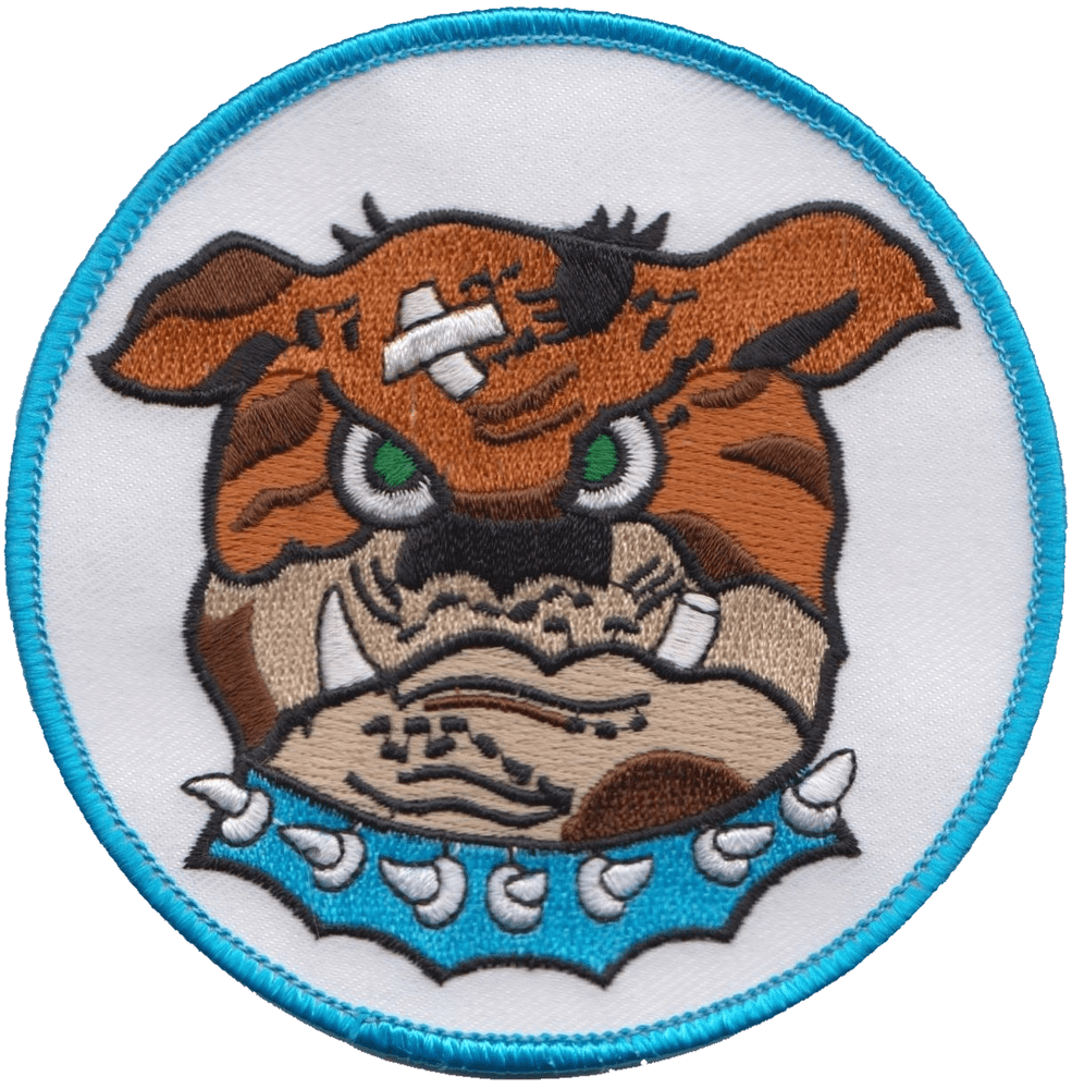 525th Fighter Squadron 525 FS United States Air Force USAF Subdued ...