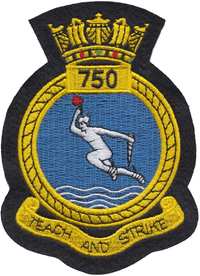 ROYAL NAVY FLEET AIR ARM FAA Including 'FLY NAVY'