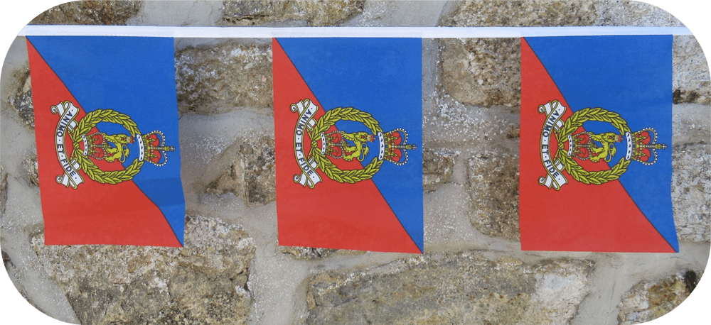 Adjutant General Corps Camp Flag Bunting