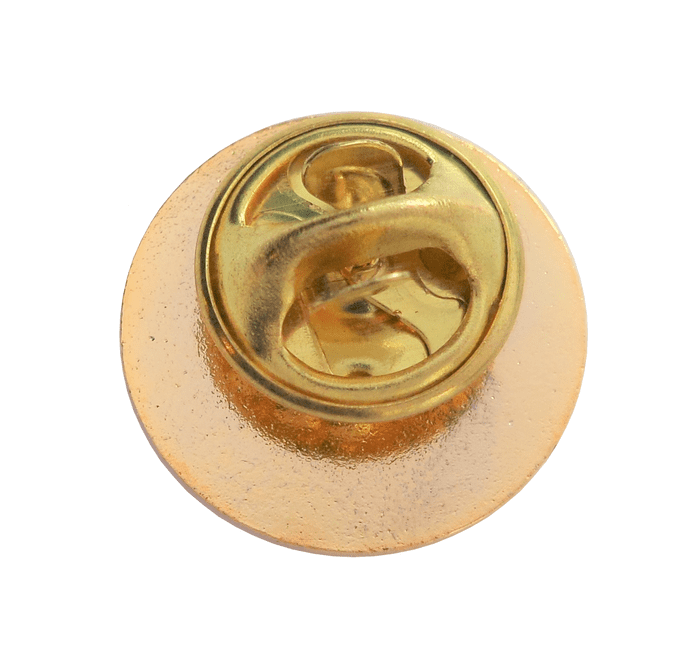 Alcoholics Anonymous AA Symbol Sobriety Circle & Triangle Pin Badge