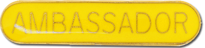 Ambassador Rounded Bar Yellow Pin Badge