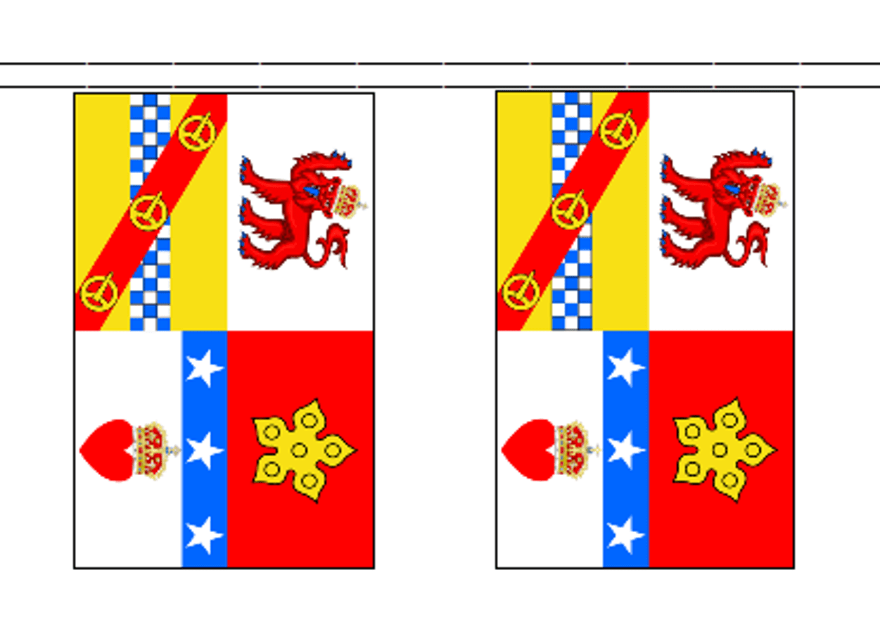 Angus County Unofficial 5m Bunting