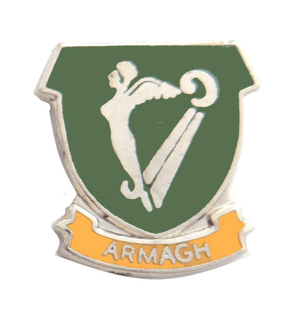 Armagh County Flag Pin Badge