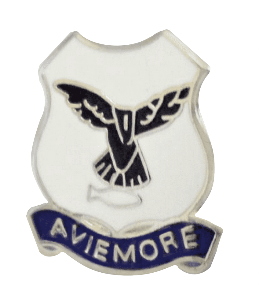 Aviemore Town Osprey Pin Badge