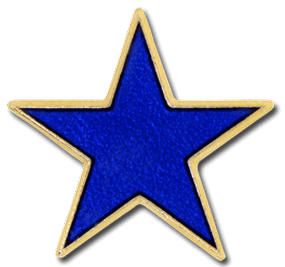 Award Star Small Blue Pin Badge