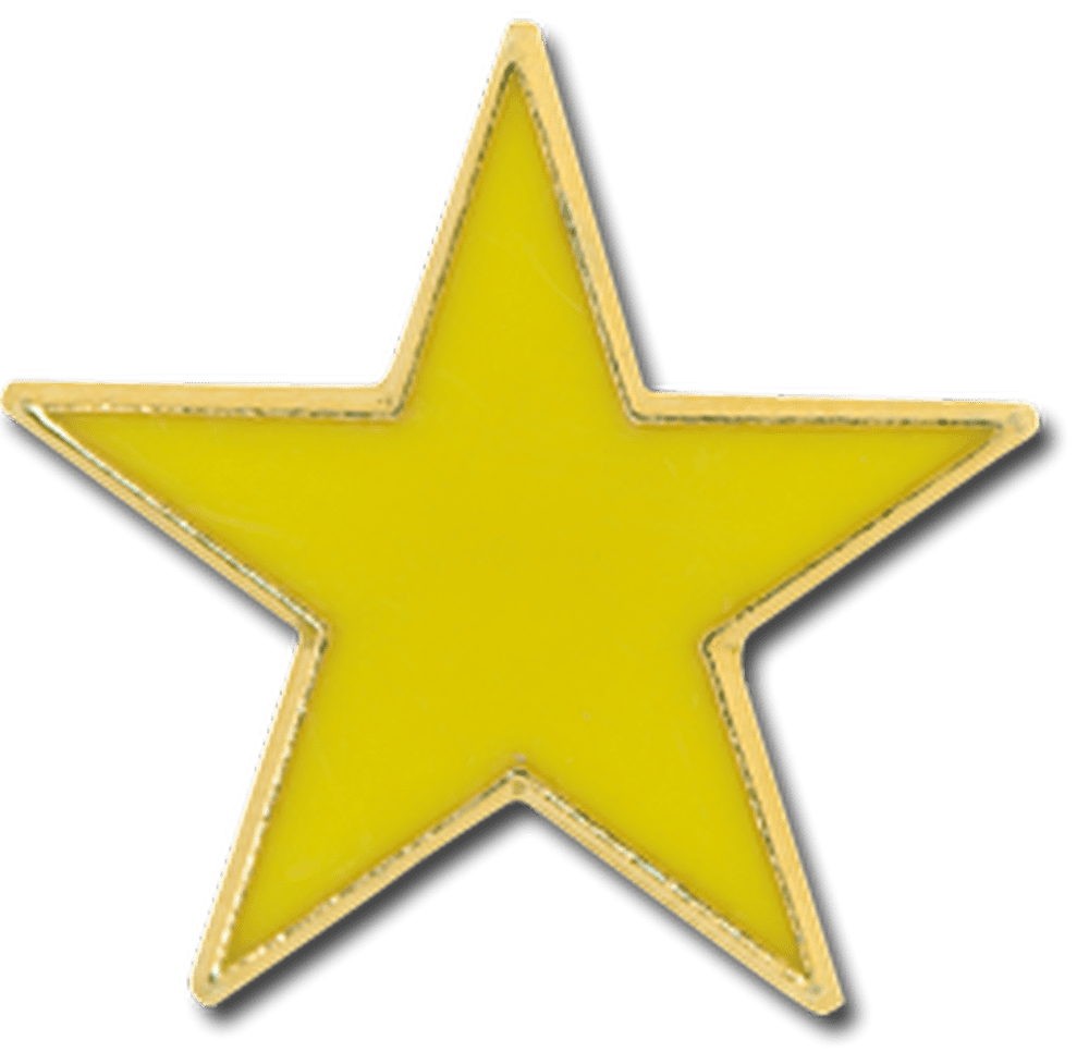Award Star Small Yellow Pin Badge