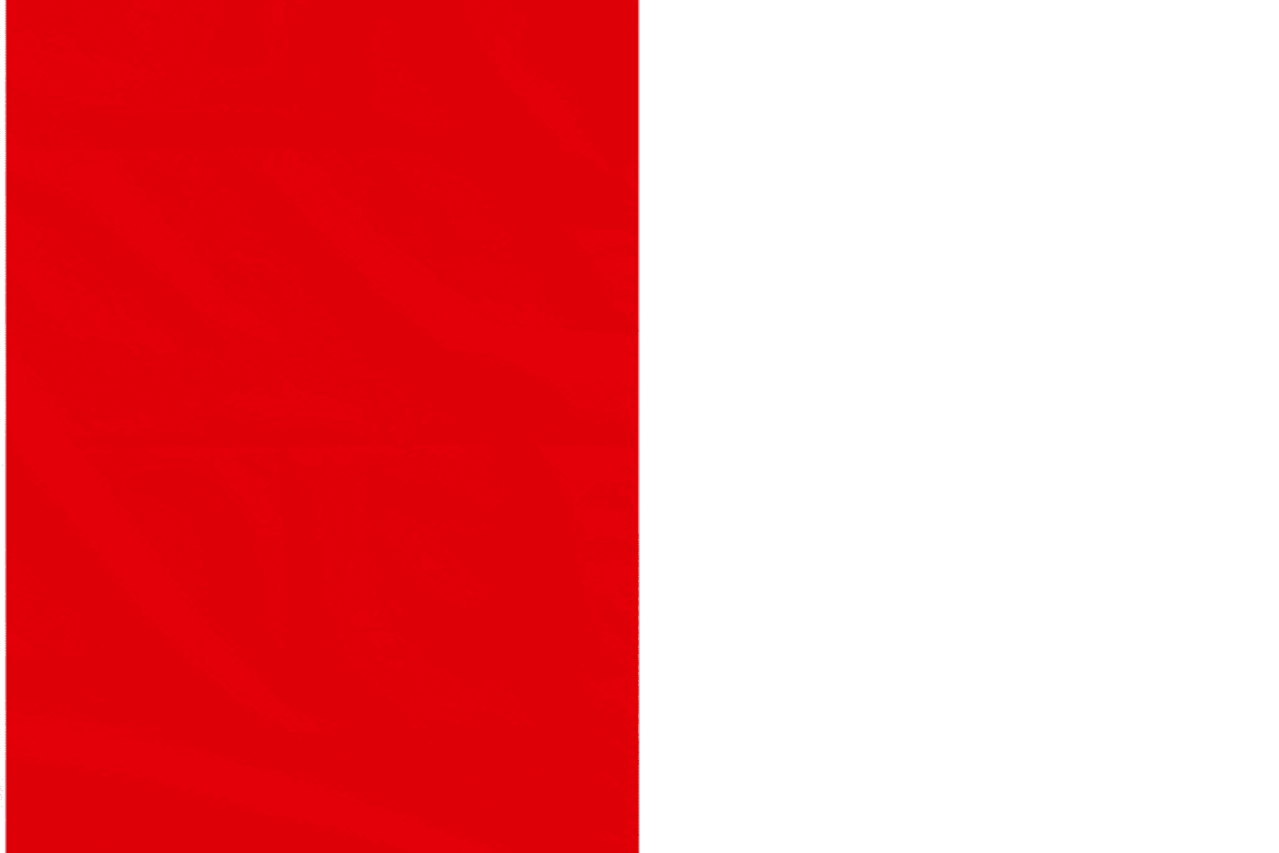 Bohol Province Philippines Flag with Rope & Toggle