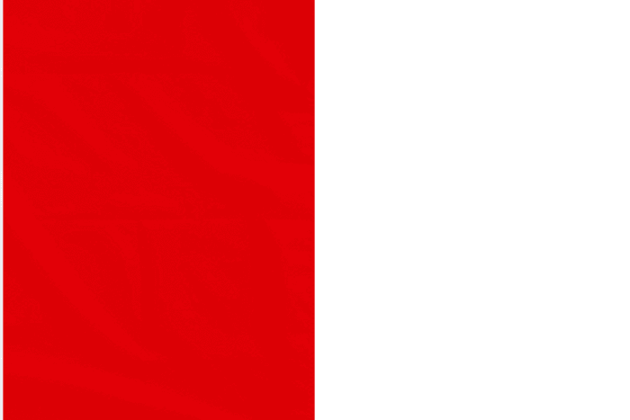 Bohol Province Philippines Flag with Rope & Toggle