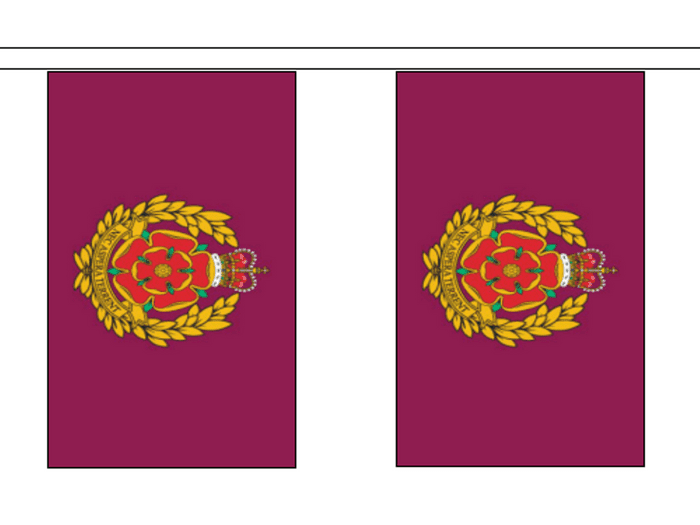 British Army - Duke of Lancaster s Regiment Flag 10m Bunting