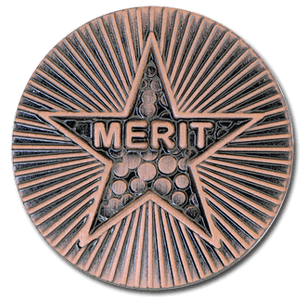 Bronze Merit Star Round Pin Badge