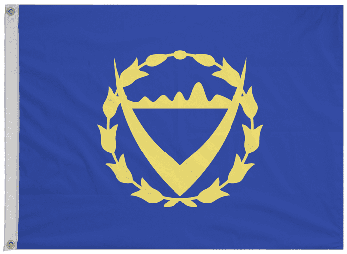 Busan Metropolitan City South Korea 1963 to 1995 Flag with Eyelets