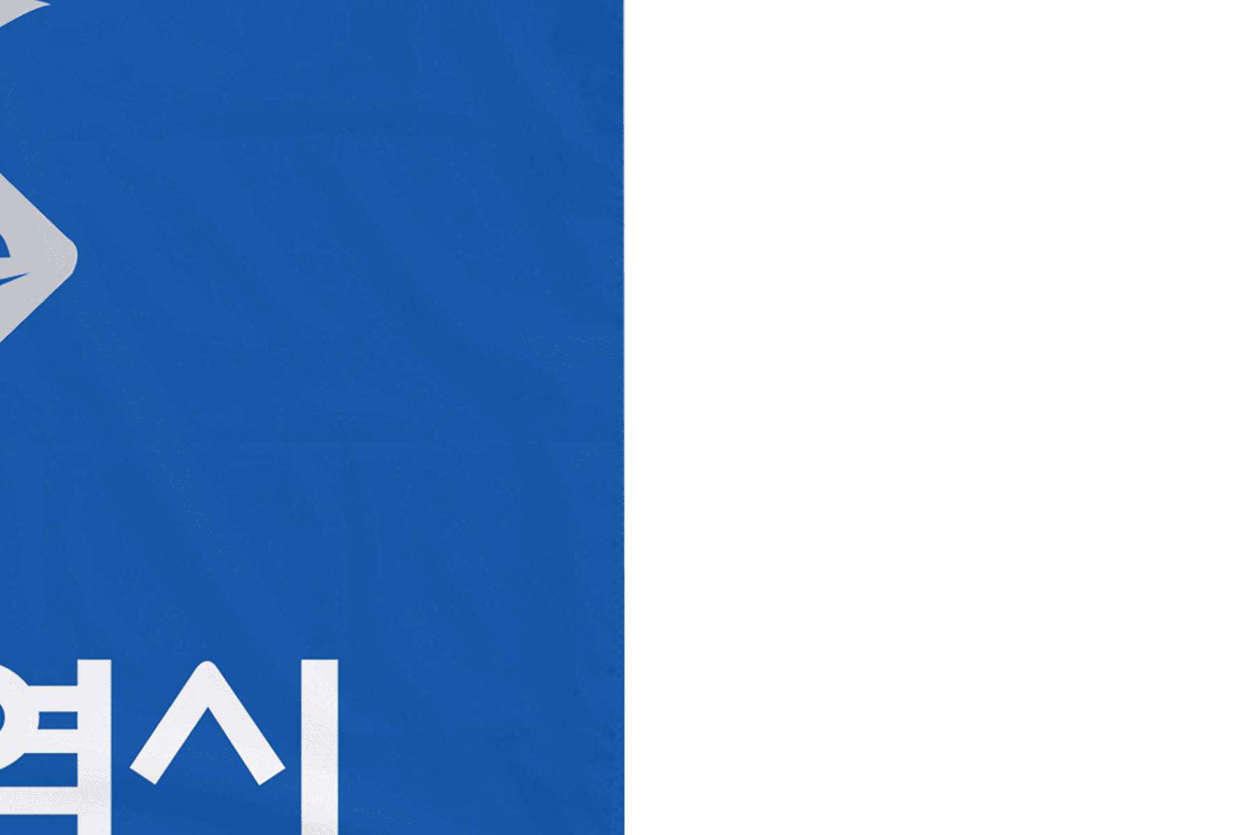 Busan Metropolitan City South Korea 1995 to 2023 Flag with Rope & Toggle