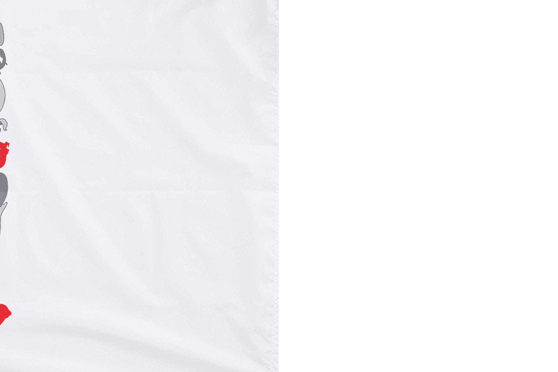 Campeche State Mexico Flag with Eyelets