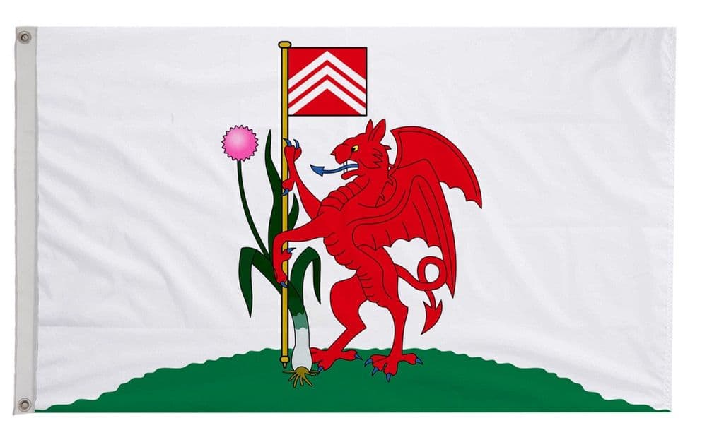 Cardiff Caerdydd Flag with Eyelets