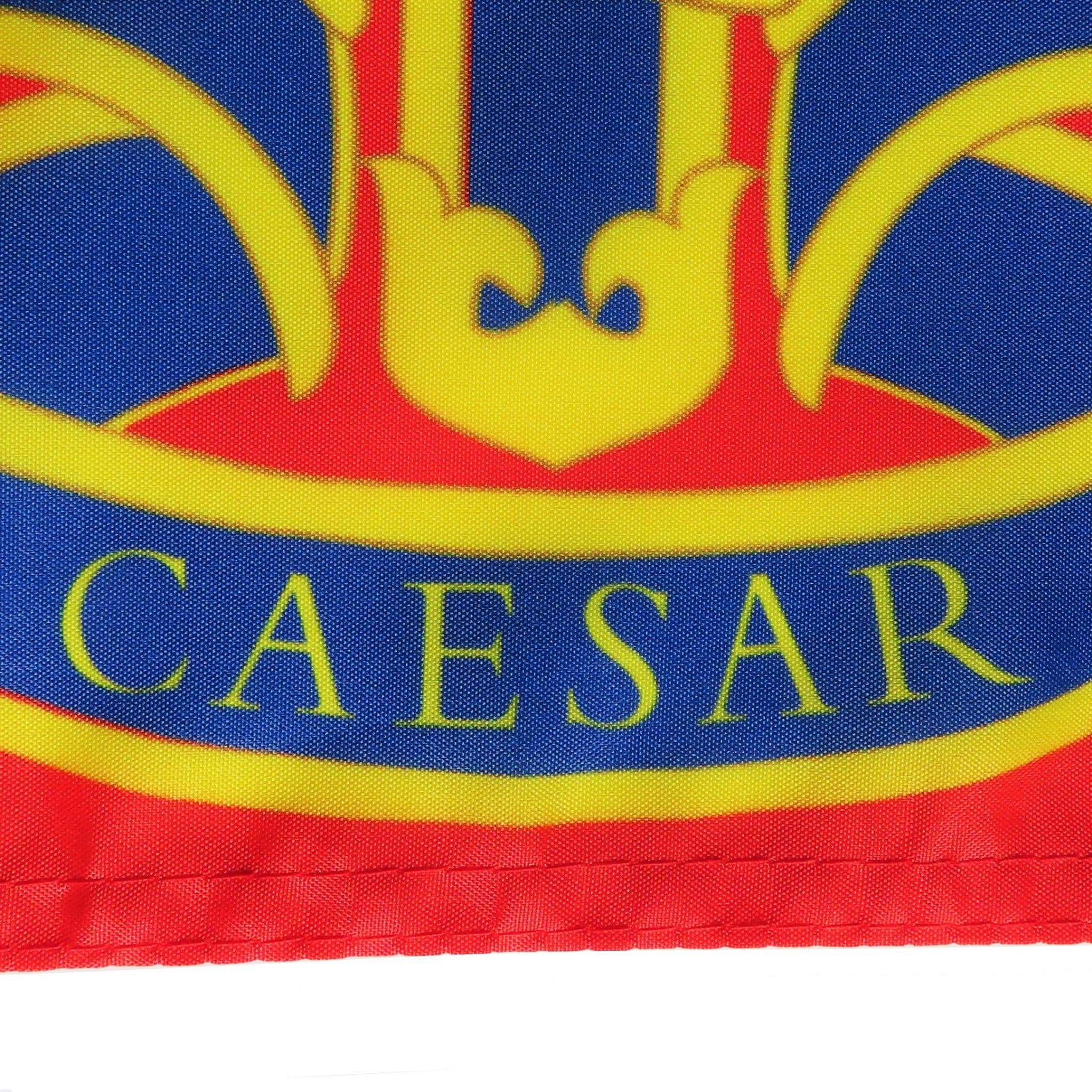 Charles I Personal Standard 200cm x 79cm Polyester Flag