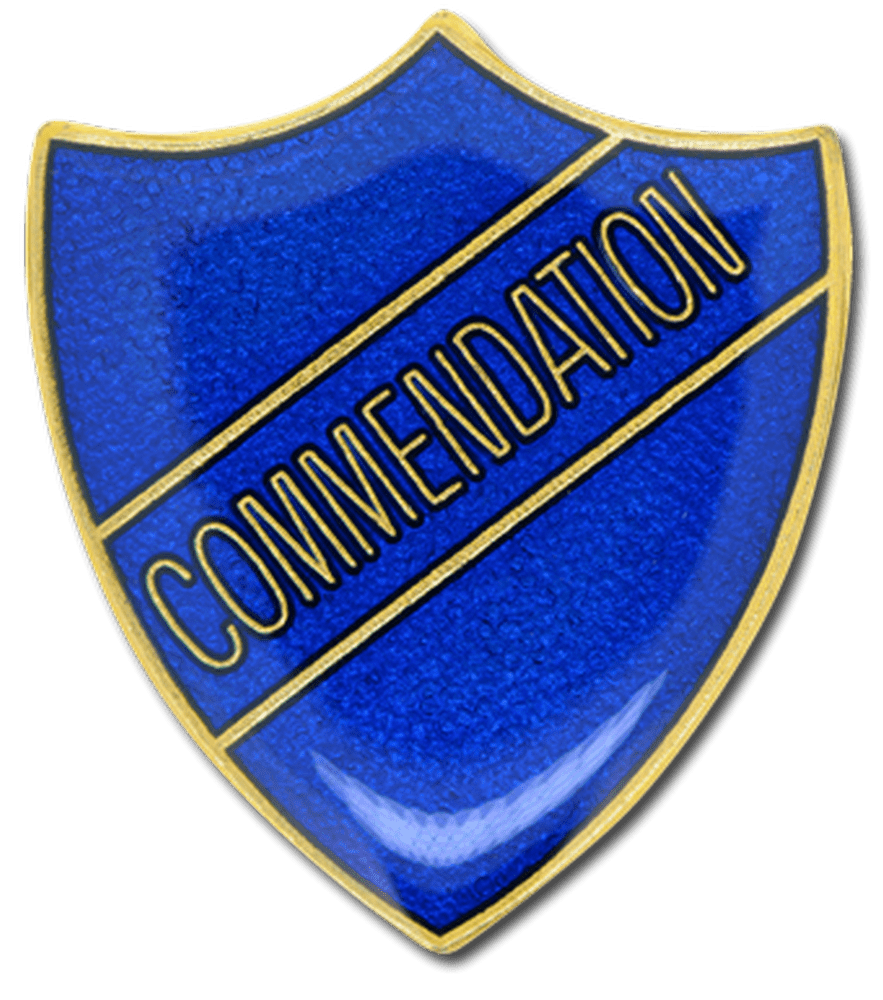 Commendation Shield Blue Pin Badge