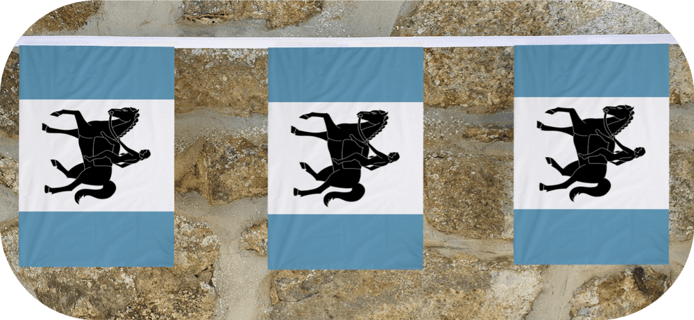 Coventry City Flag Bunting