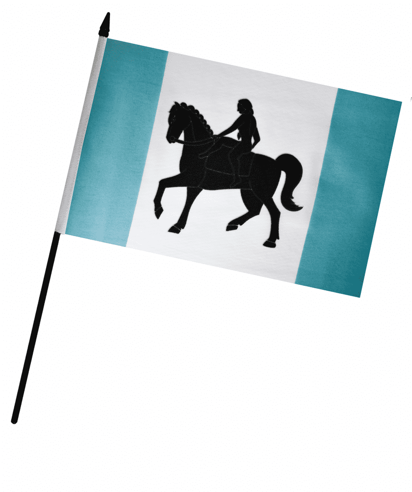 Coventry City Medium Hand Flag
