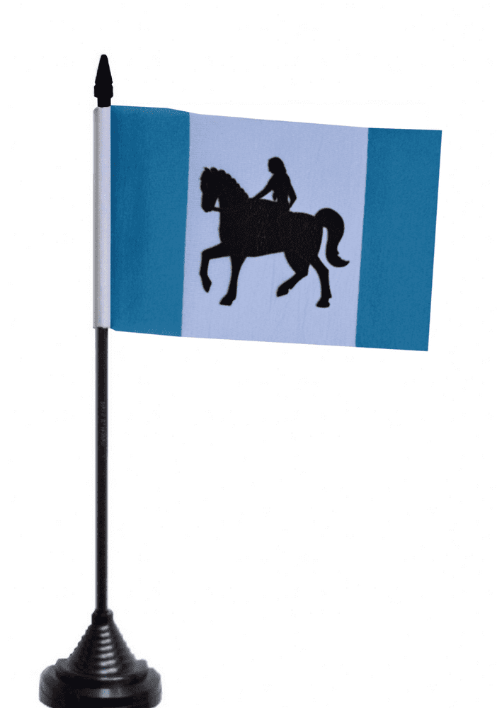 Coventry City Table Flag