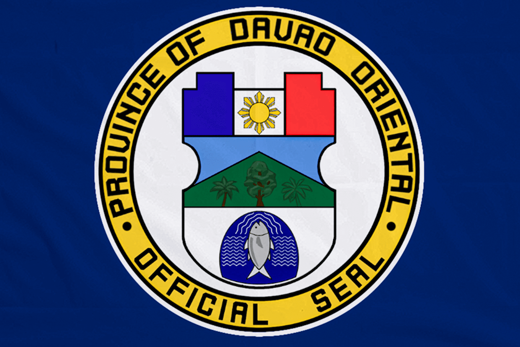 Davao Oriental Province Philippines Flag with Eyelets