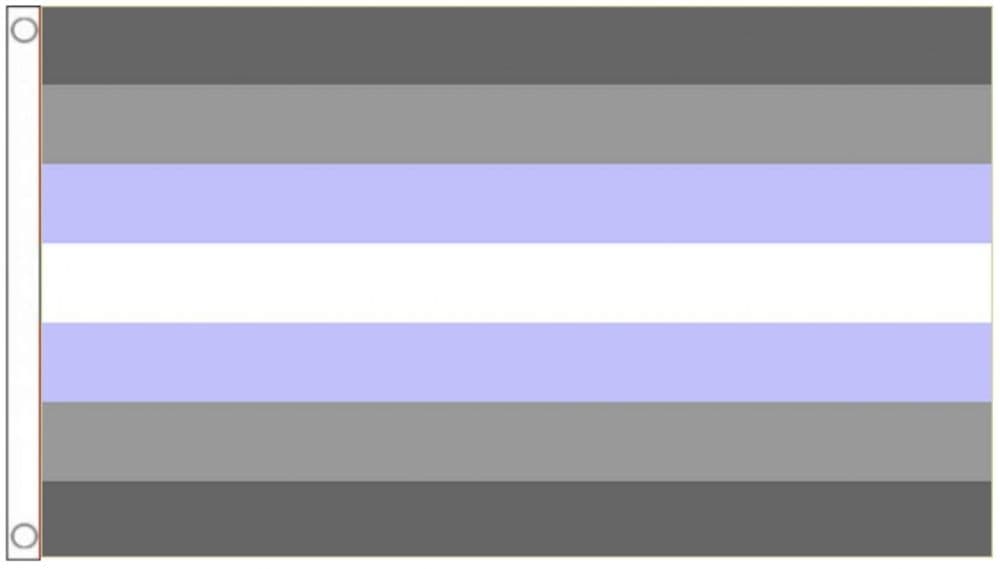 Demi Boy Pride Polyester 5 x3 Flag