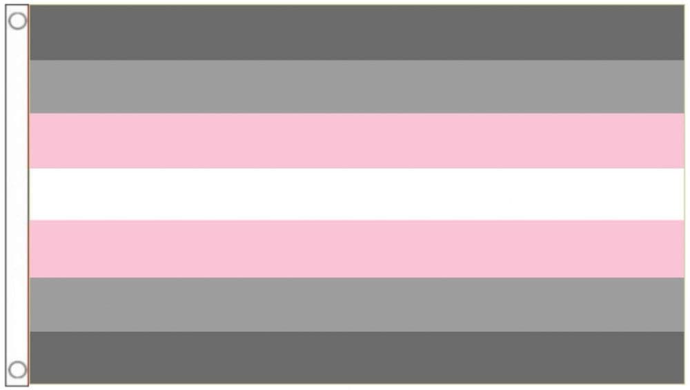 Demi Girl Pride Polyester 5 x3 Flag