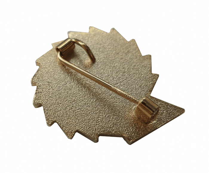 England Retro Rosette Pin Badge