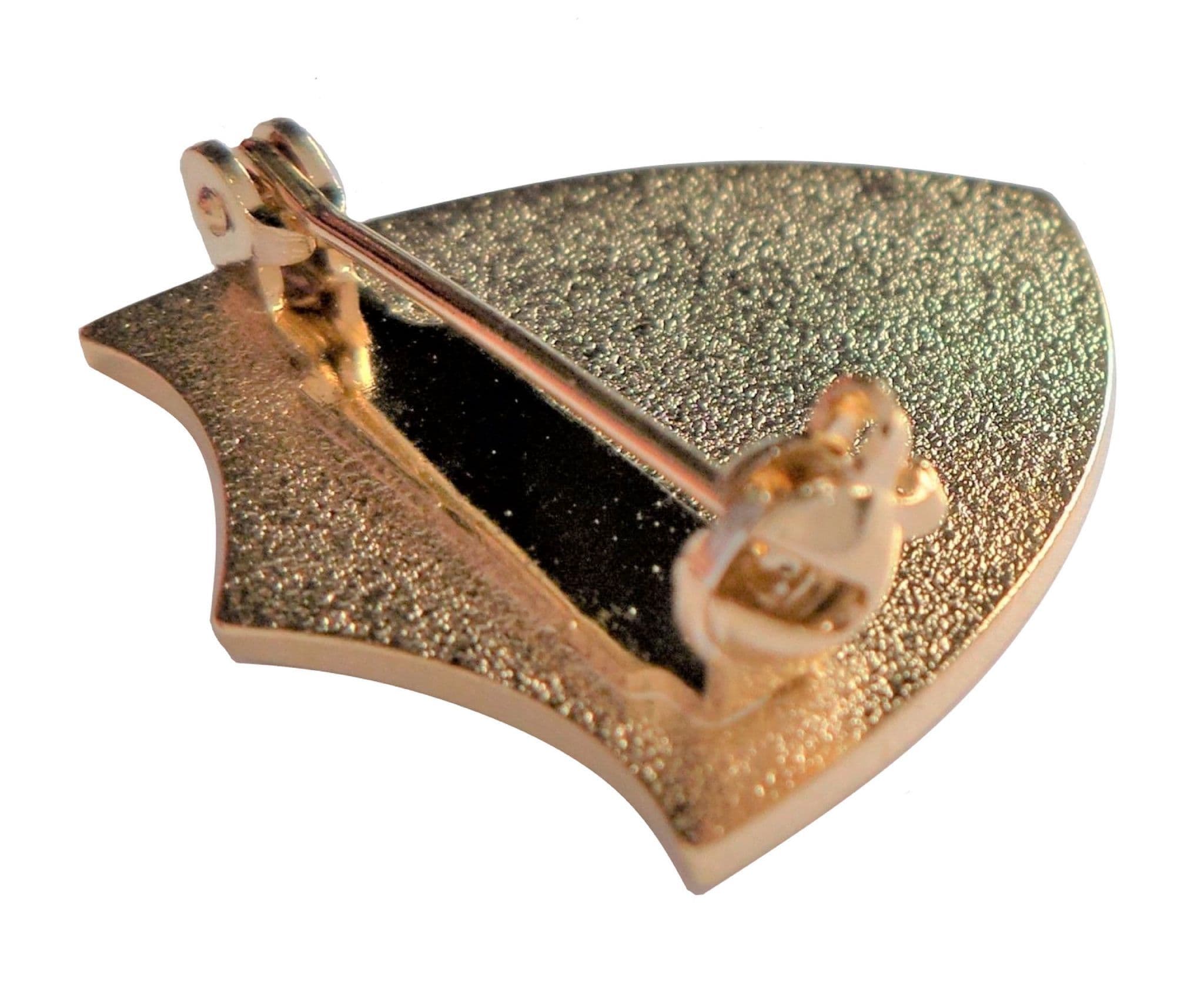 Environmental Prefect Red Shield Pin Badge