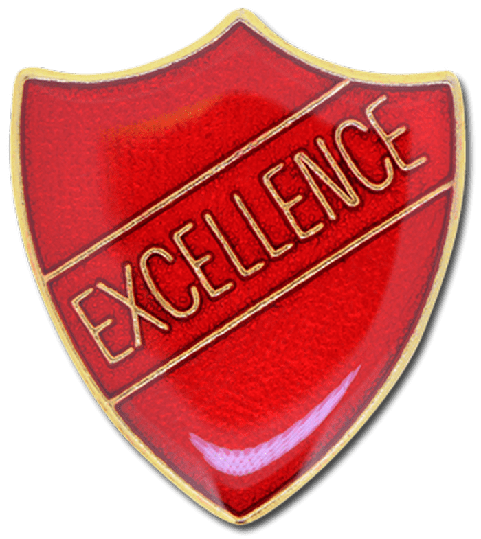 Excellence Shield Red Pin Badge