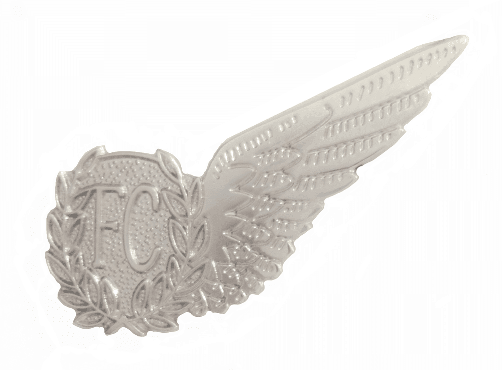 Fighter Controller Royal Air Force RAF MOD Single Wing Nickel Pin Badge ...