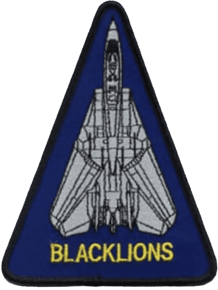 Fighter Squadron 213 VF-213 United States Navy USN Triangle Embroidered ...