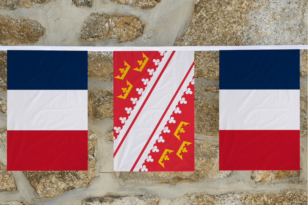 France and Regions of France Friendship Flag Bunting - Premium Quality
