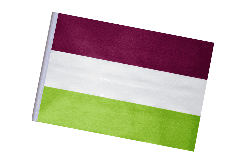 Genderqueer GQ Non-Binary Pride LGBTQ Small Craft Flag
