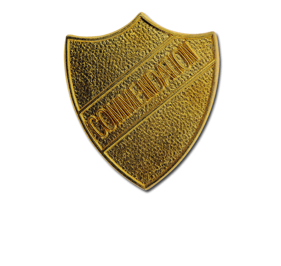 Gold Commendation Shield Pin Badge